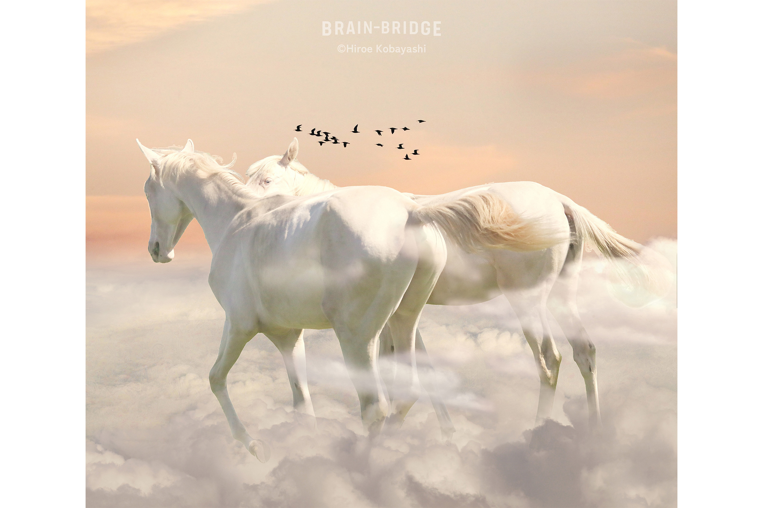 小林弘依／Hiroe Kobayashi - 株式会社Brain-Bridge